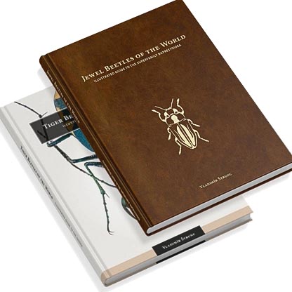 Insect Books – Illustrated Guides to Beetles of the World
