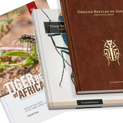 Insect Books – Illustrated Guides to Beetles of the World