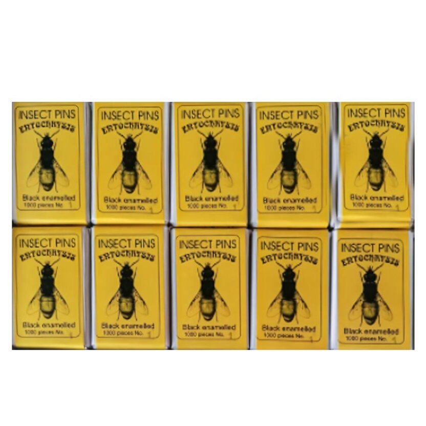 5 facts about June bugs