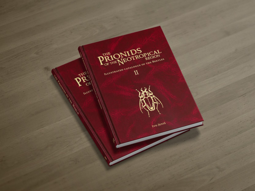 Captivating Prionids Collection Bundle: Explore Beetle Wonders