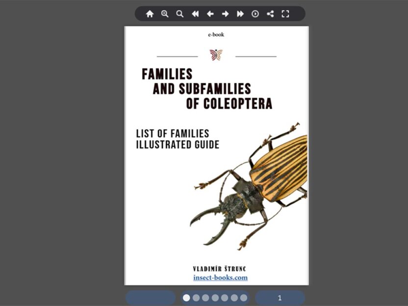 Most beautiful Ground Beetles – Insect Books