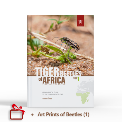 Insect Books – Illustrated Guides to Beetles of the World