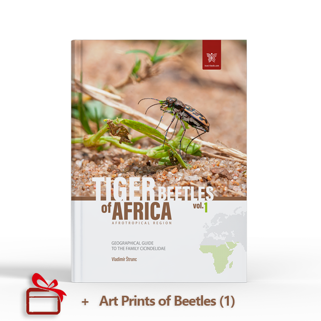 Insect Books – Illustrated Guides to Beetles of the World