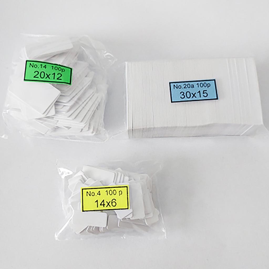 5 facts about June bugs